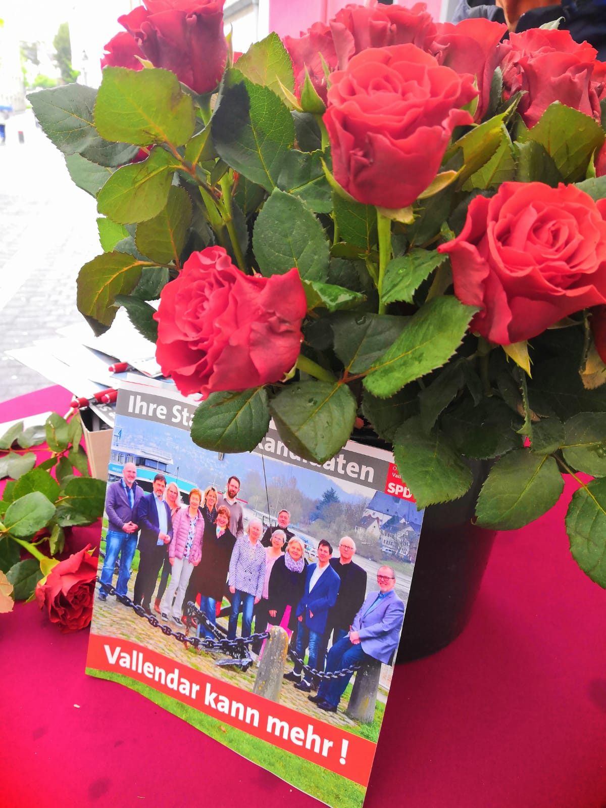 Infostand SPD in Vallendar mit roten Rosen - SPD Ortsverein Vallendar ...